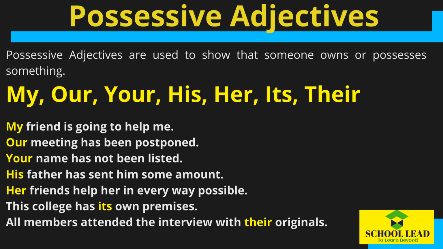 Possessive Adjectives - School Lead Possessive Adjectives - School Lead
