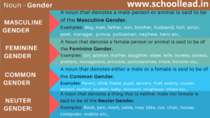 Gender of the Noun - The Noun - School Lead