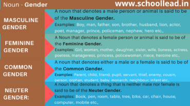 Gender of the Noun - The Noun - School Lead