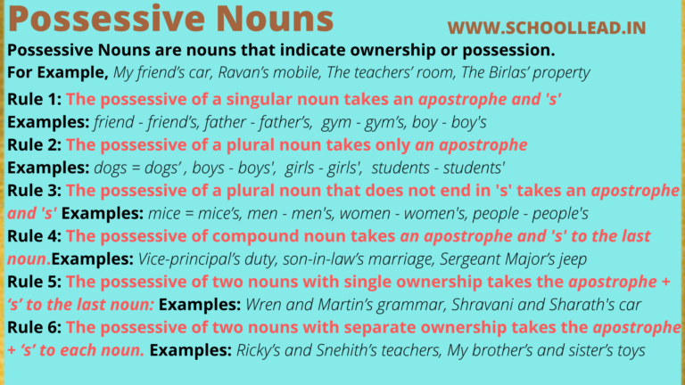 Possessive Nouns - School Lead
